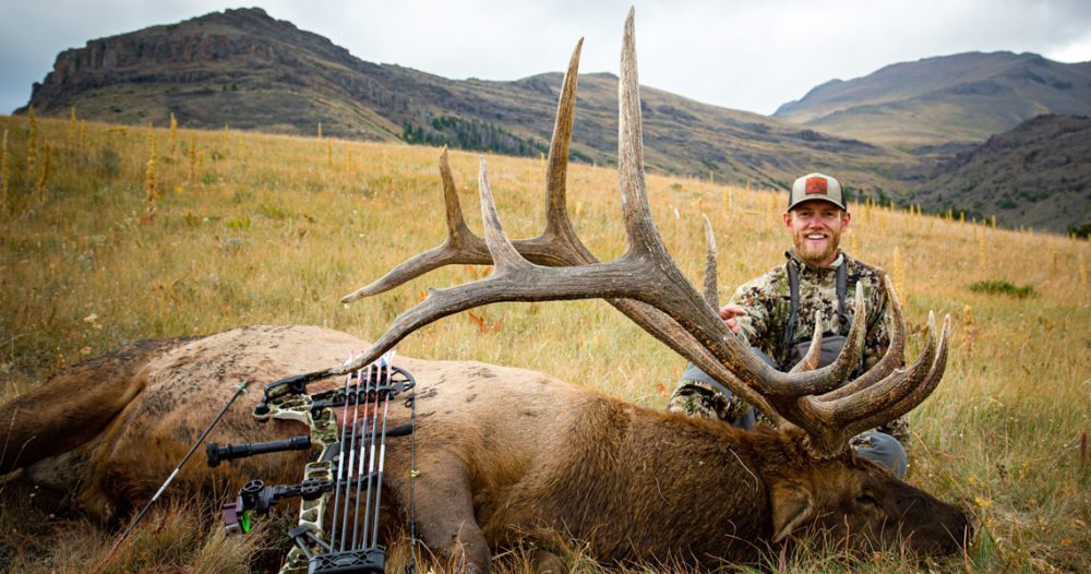 High Country Bulls – Trick or Treat? | Eastmans TagHub