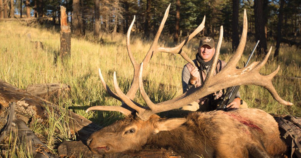 Quick and Easy Field Judging Bull Elk | “Rack Bracketing” | Eastmans TagHub