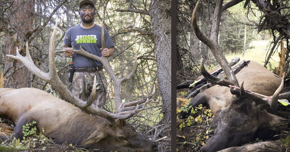 Elk Are King | Eastmans TagHub