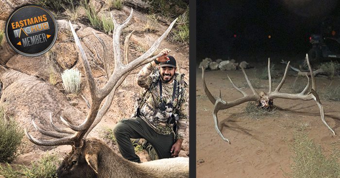 The Sand Bull | Eastmans TagHub