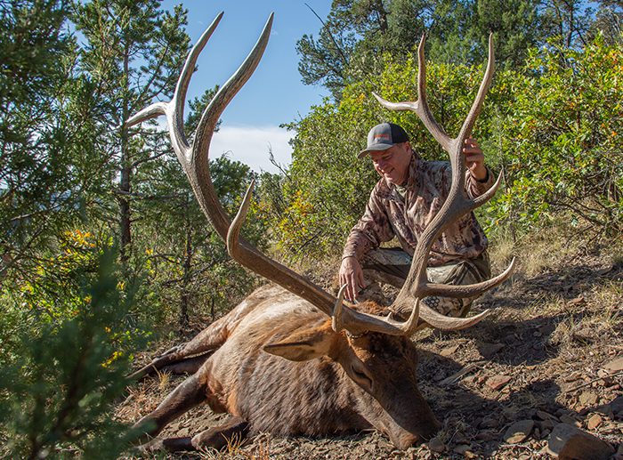 Eastmans' Hunt Winners | Eastmans' Hunting Journals