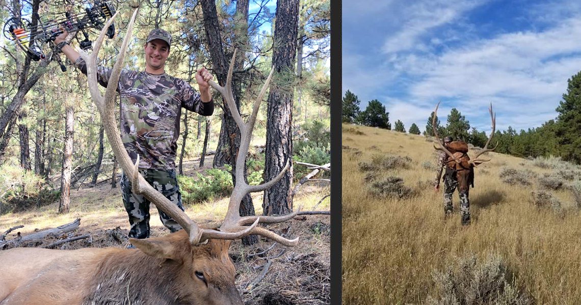 2 Bulls DIY | Eastmans TagHub