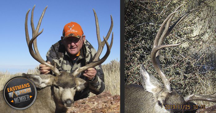 Kaibab Migration Buck | Eastmans TagHub