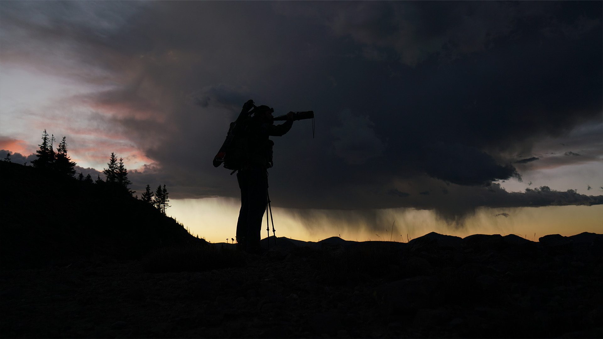 Tips & Tactics: Dealing with Hunting Pressure | Eastmans TagHub