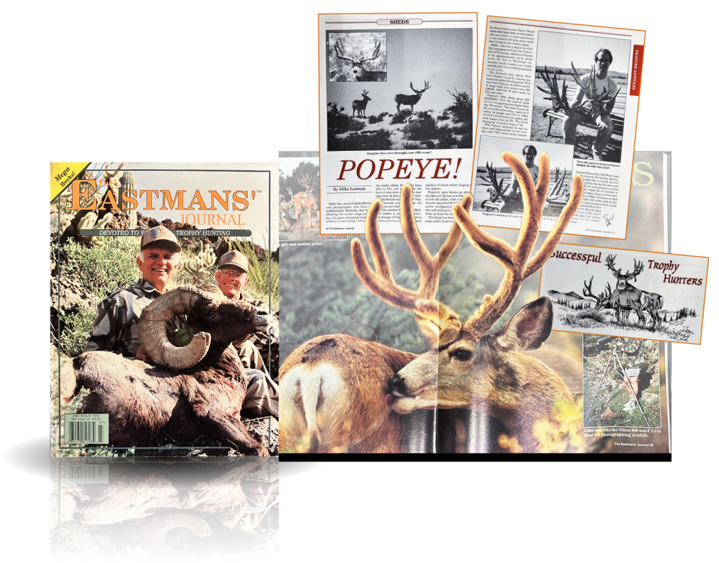 Historic EHJ i30 | 1995