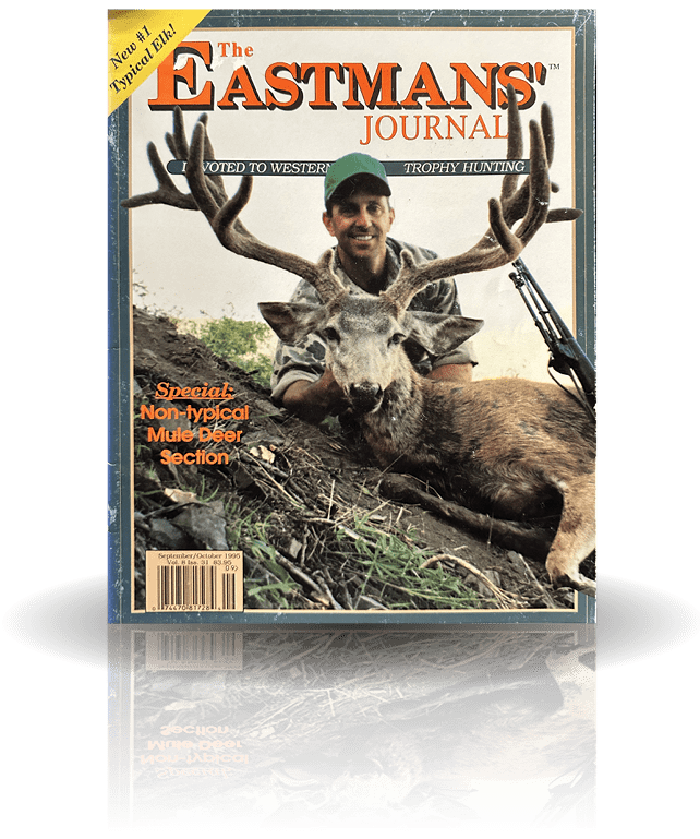 Historic EHJ i31 | 1995