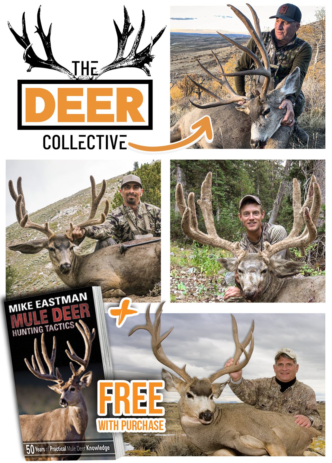 The Deer Collective Virtual Course | Eastmans TagHub