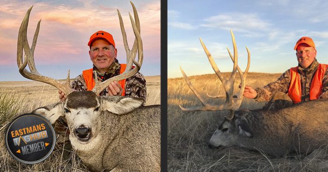 Don’t Slap A Gift Horse In The Mouth | Eastmans TagHub